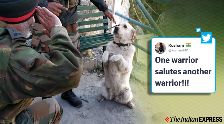 ‘What a gesture’: Labrador’s salute to senior officer goes viral ...