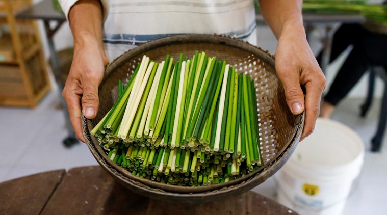This Vietnamese entrepreneur is making straws out of wild grass | World ...