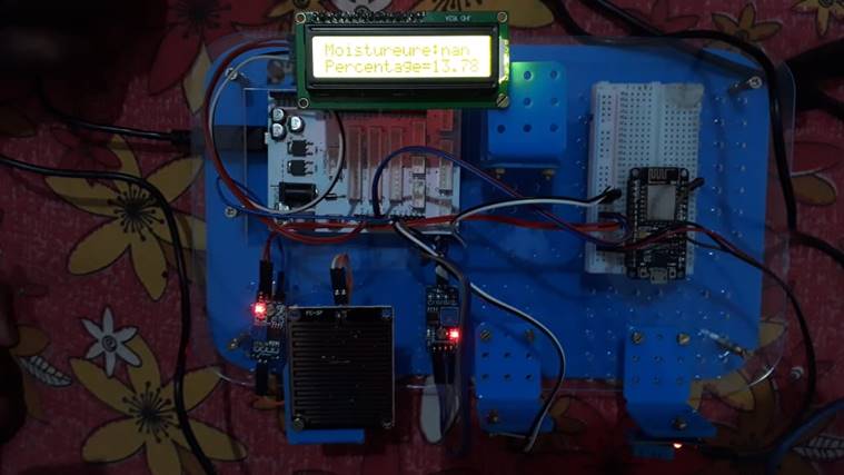 17-year-old student creates device to detect bacterial attack on crops ...