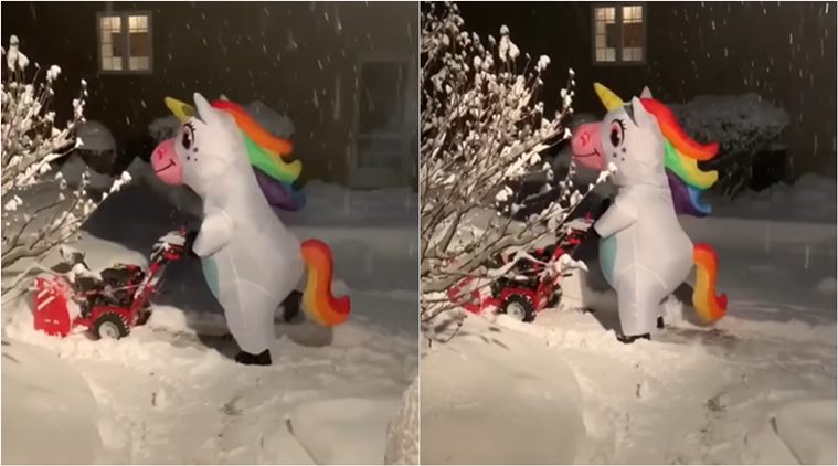 Viral video: Person in unicorn costume dances while clearing snow ...