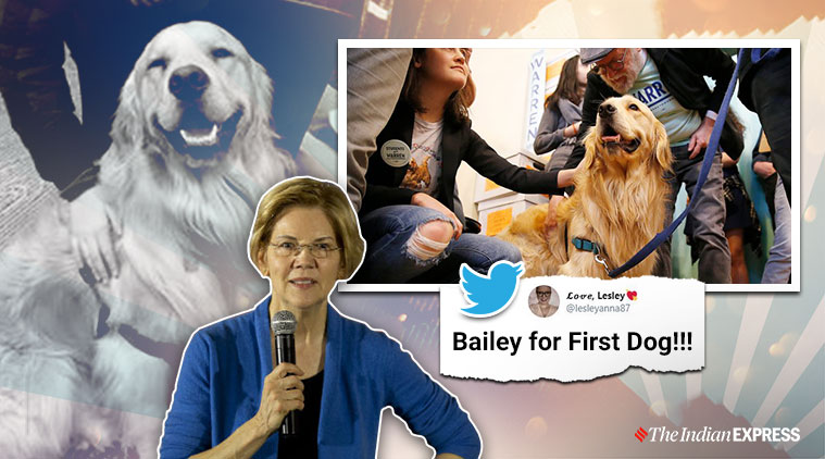 In her absence, presidential hopeful Elizabeth Warren’s dog Bailey ...