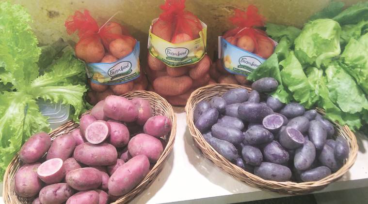 Gujarat: ‘Exotic’ red potatoes to be grown in state | Ahmedabad News ...