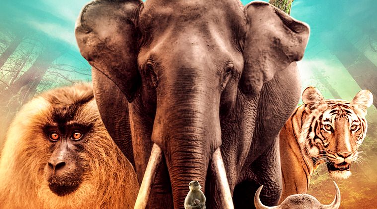 We want people to take pride in Karnataka’s wildlife, says Wild ...