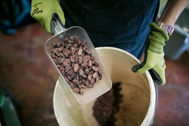 Everything you need to know about chocolate | Lifestyle News,The Indian ...