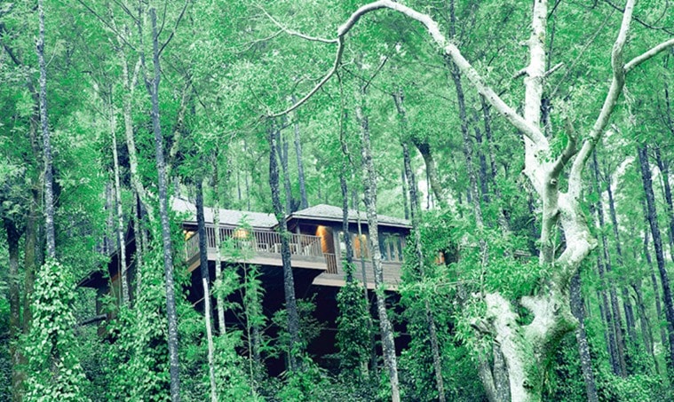 Bean-to-cup coffee making in a Coorg plantation | Eye News - The Indian ...