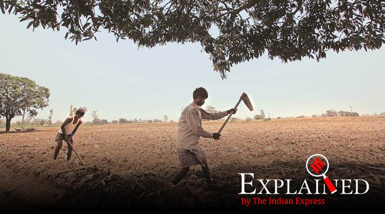 Explained: No state for landless farmers | Explained News - The Indian ...