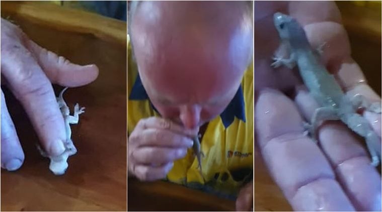 Watch: Man gives mouth-to-mouth, ‘CPR’ to save lizard that fell in beer ...