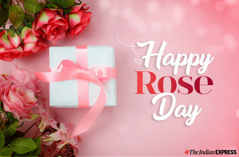 Happy Rose Day Images 2021: Wishes Quotes, Images, Status, Greetings ...