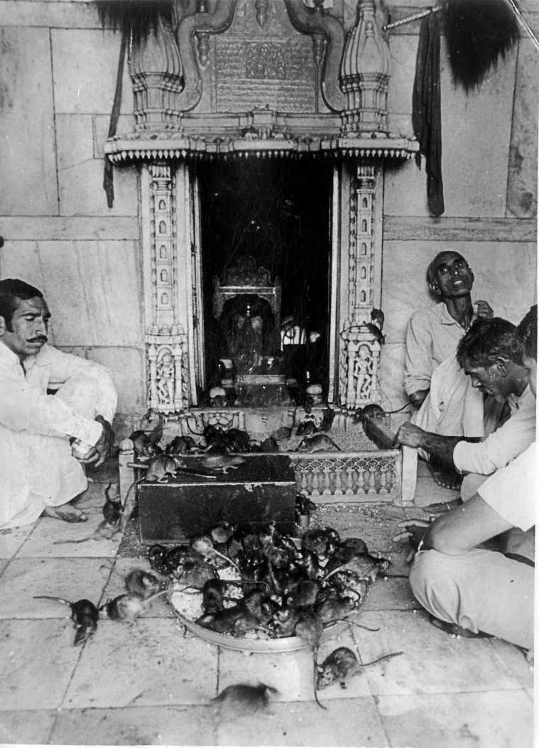 In Surat, reminders of 1994 plague: worker exodus, empty units, special ...