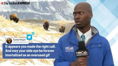 Nbc Reporter Memes 🔥 25+ Best Memes About Nbc News | Nbc News Memes