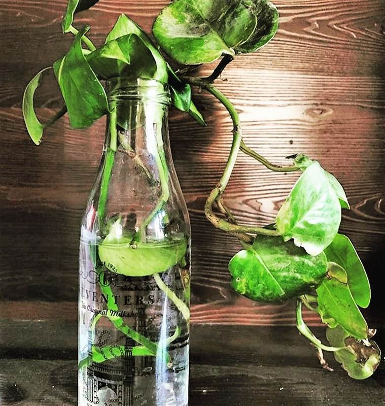 5 DIY, craft and activity ideas to make social distancing fun for ...