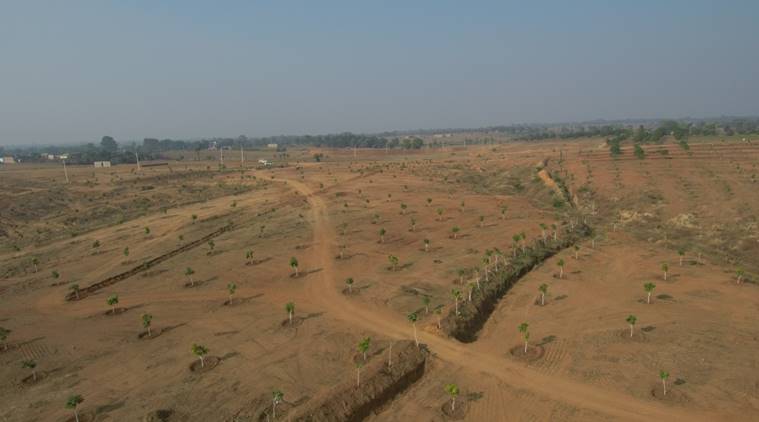 Turning wasteland into green land, the Banka way | India News - The ...