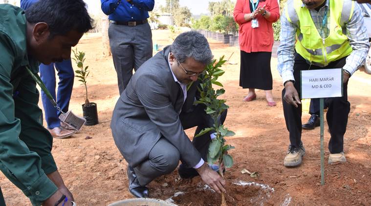 Bengaluru airport authorities to revive endangered citrus fruit ...