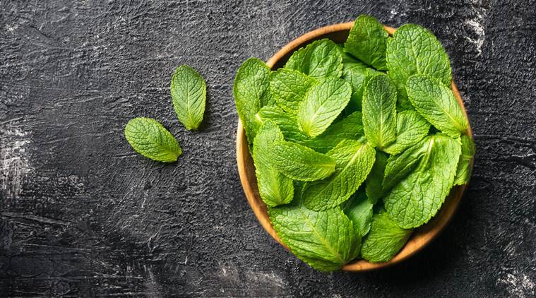 Try this peppermint hair mask to soothe your summer scalp | Life-style ...