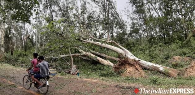 Cyclone Amphan leaves behind a trail of destruction in West Bengal ...