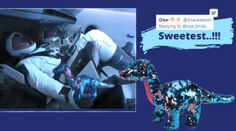 ‘Dino in space’: Floating toy spotted inside SpaceX spacecraft ...