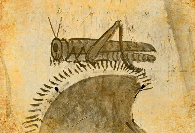 As the locusts fly in, memories, and fears, of a recurring ‘plague ...