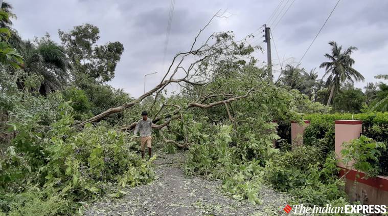 Cyclone Amphan leaves behind a trail of destruction in West Bengal ...