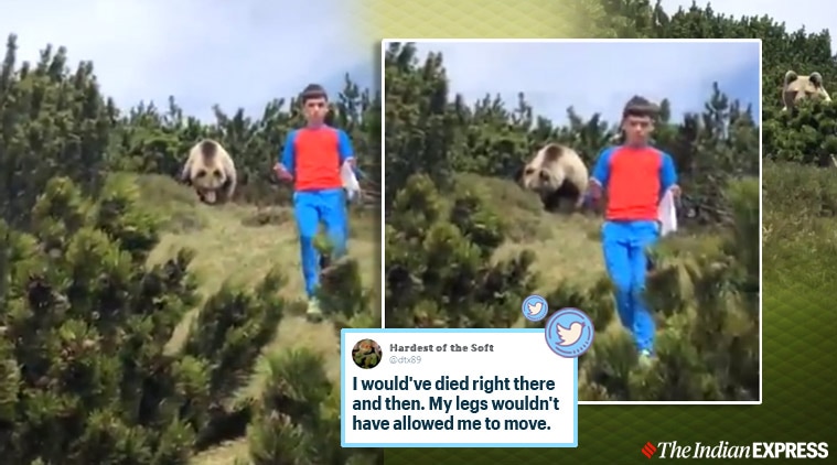 Viral Video: How a 12-year-old dealt with a wild bear during encounter ...