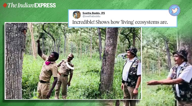 Watch: Video of water oozing from this tree bark goes viral | Trending ...