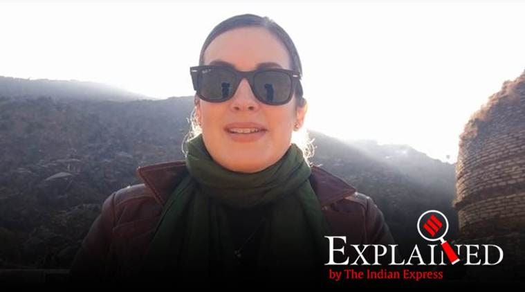 Who is Cynthia D Ritchie?