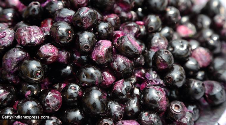 Do you love jamun? Here’s why you must love its seeds, too | Health ...