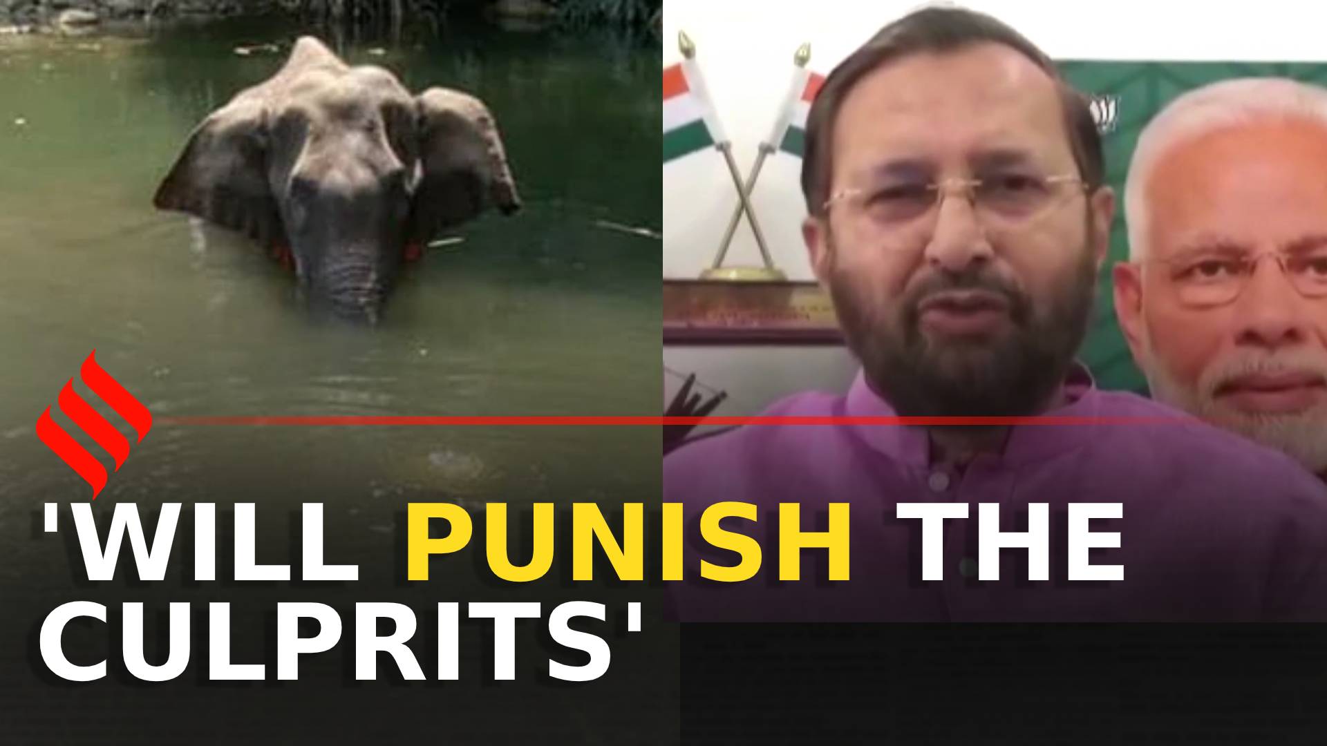 Will punish culprits forest minister prakash javadekar on kerala ...