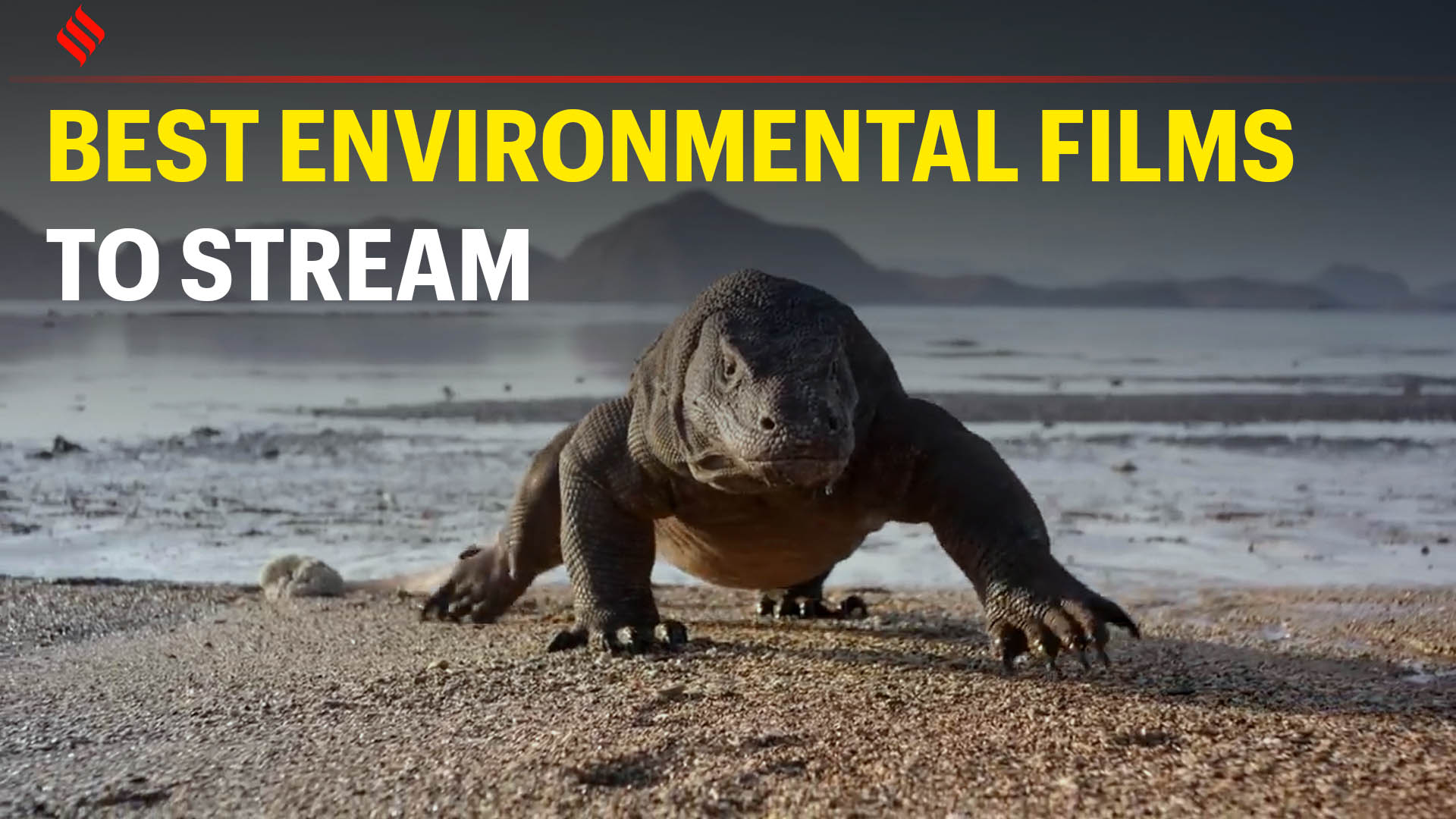 World environment day best environmental documentaries to stream over ...
