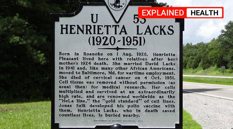 Who was Henrietta Lacks?