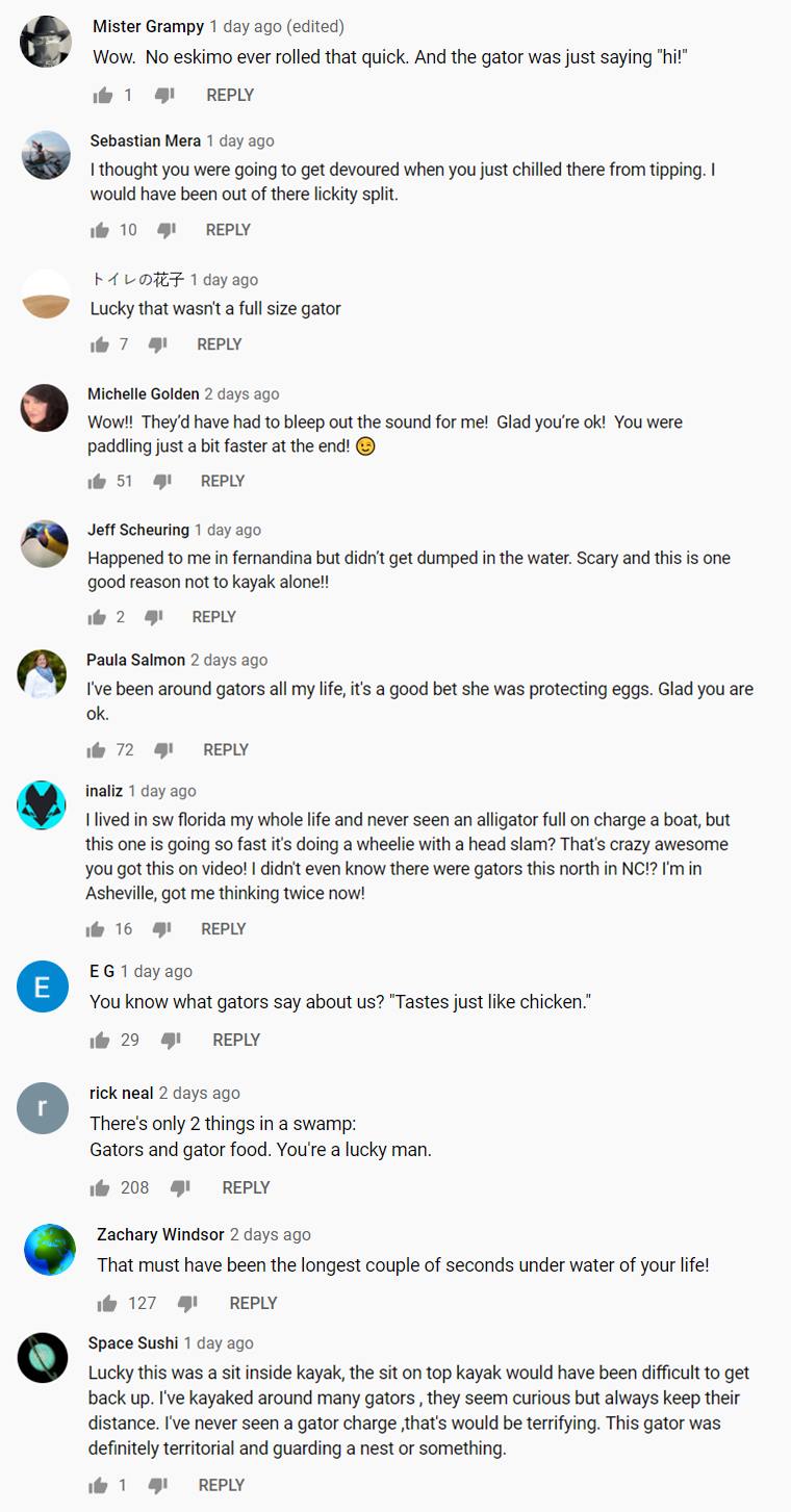 Caught on camera: Alligator rams into kayak, flips man into river ...