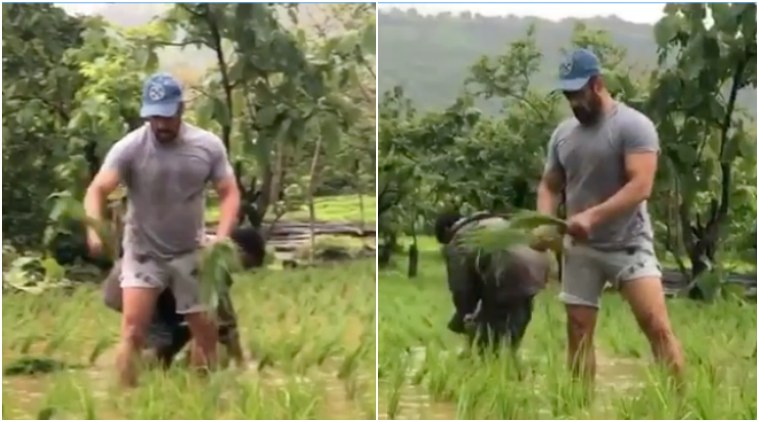 Salman Khan plants rice saplings at his Panvel farmhouse, watch video ...