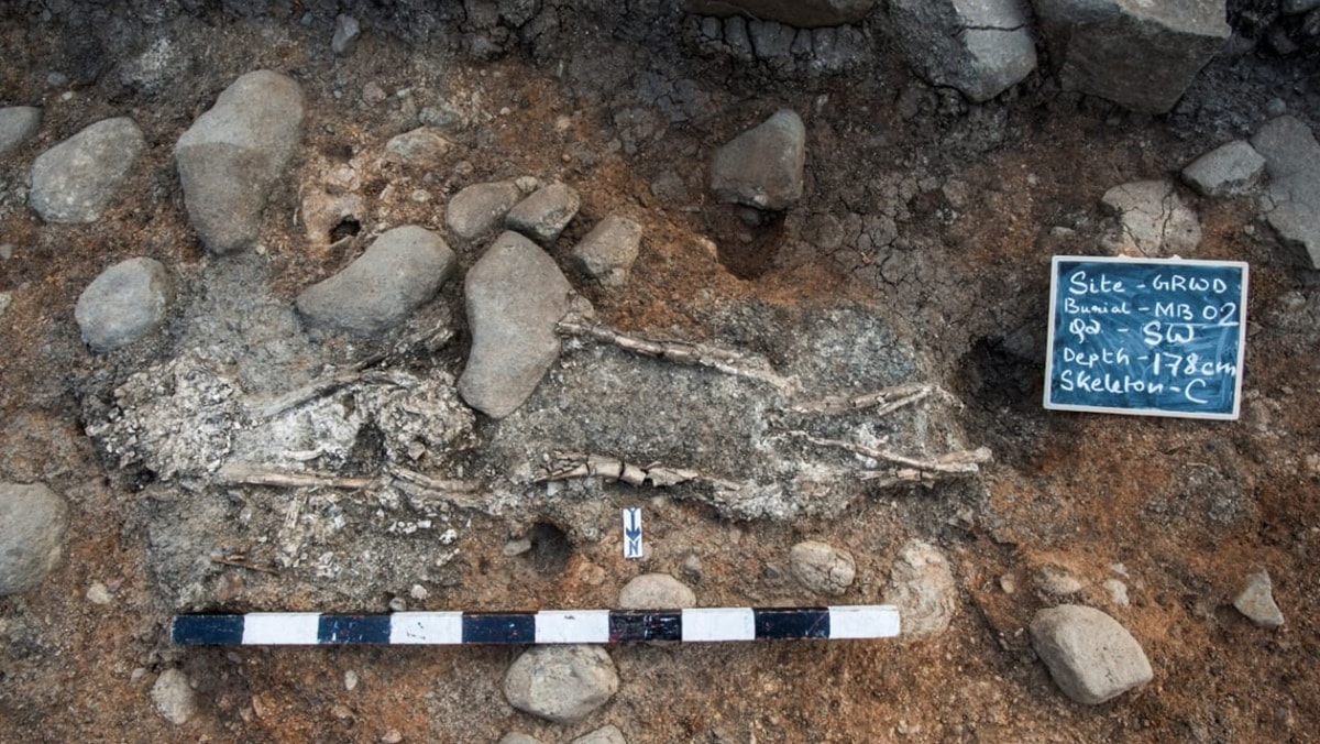 At site of India’s first archaeological theme park: 3000-year-old ...