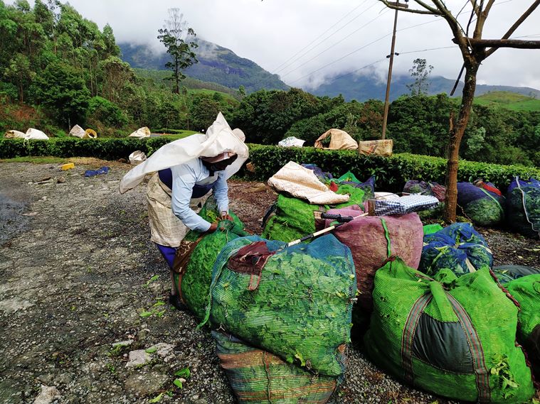 Pettimudi underlines why Kerala is the Petri dish for climate change ...