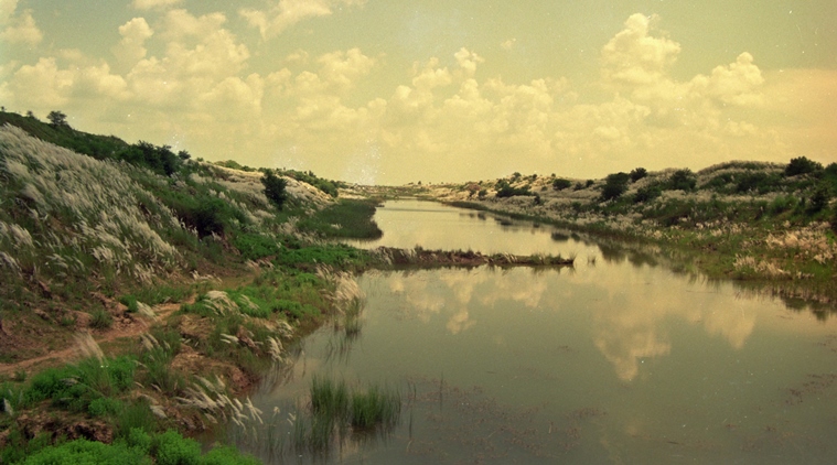 Explained: Why the Punjab CM has warned against restarting SYL canal ...