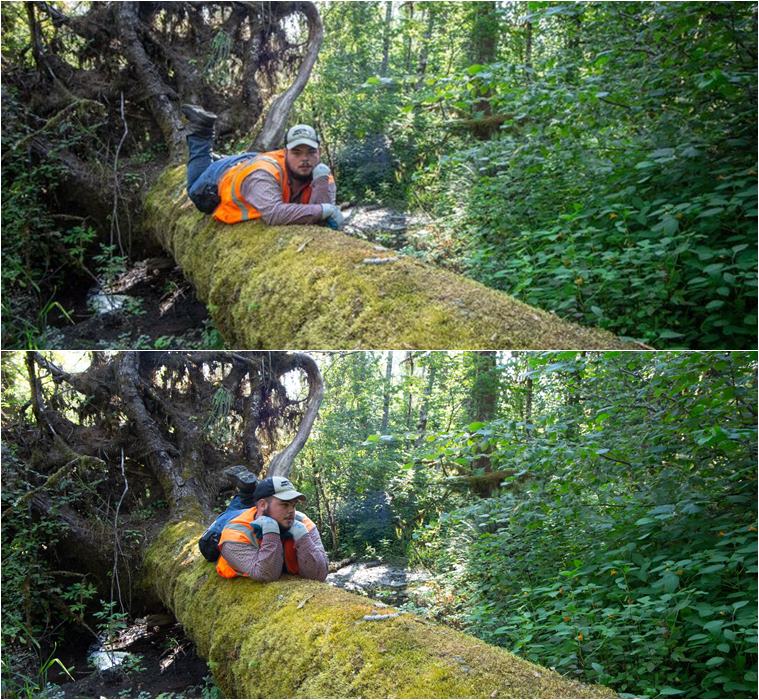 Wildlife photographer gets hilarious surprise when he checks camera ...
