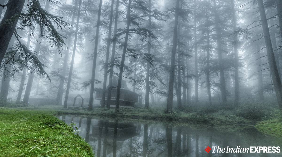 UK festival planners create sound map of forest noises from around the ...