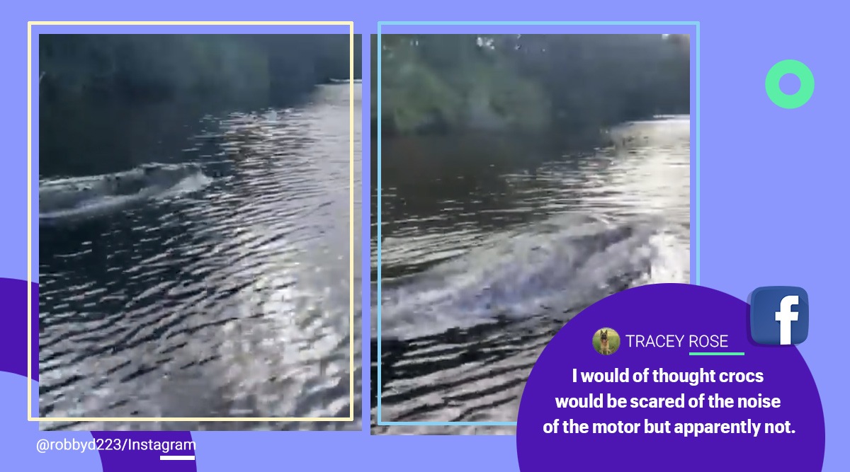 Video of a huge crocodile racing alongside a boat in Australian river ...