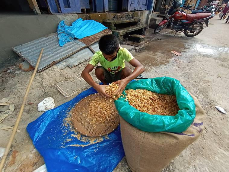 Making sense of shidol: In Tripura, sales of a fermented dry fish rise ...
