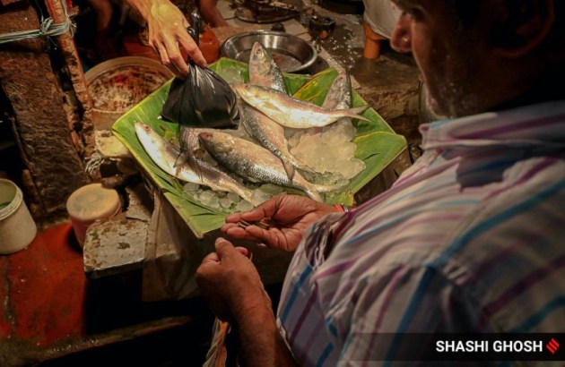 Hilsa from Bangladesh brings cheer in West Bengal fish markets | India ...
