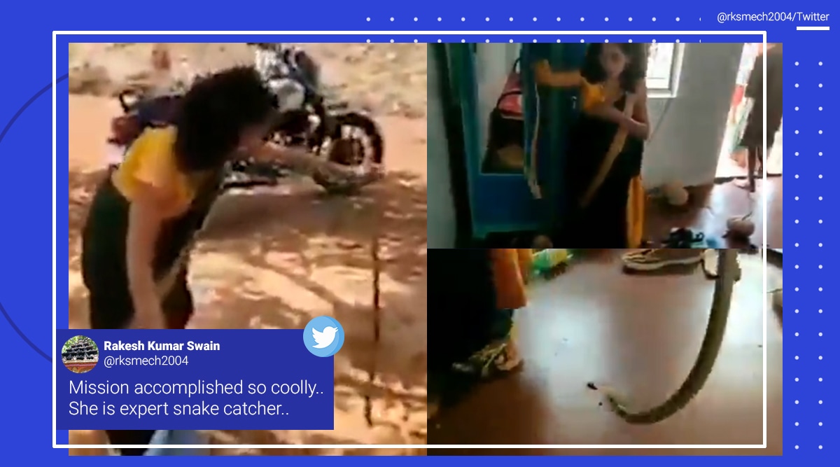 This daring video of saree-clad woman rescuing a snake with bare hands ...