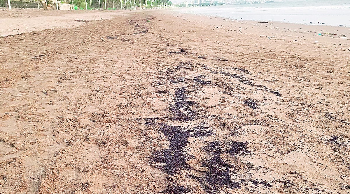 Tar balls are made of oil discharged from Bombay High: Goa minister ...