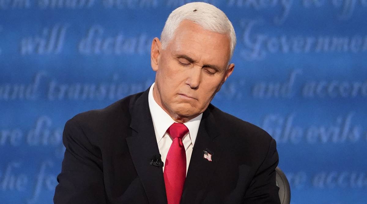 Fly on Mike Pence’s head steals the show at Vice Presidential debate ...