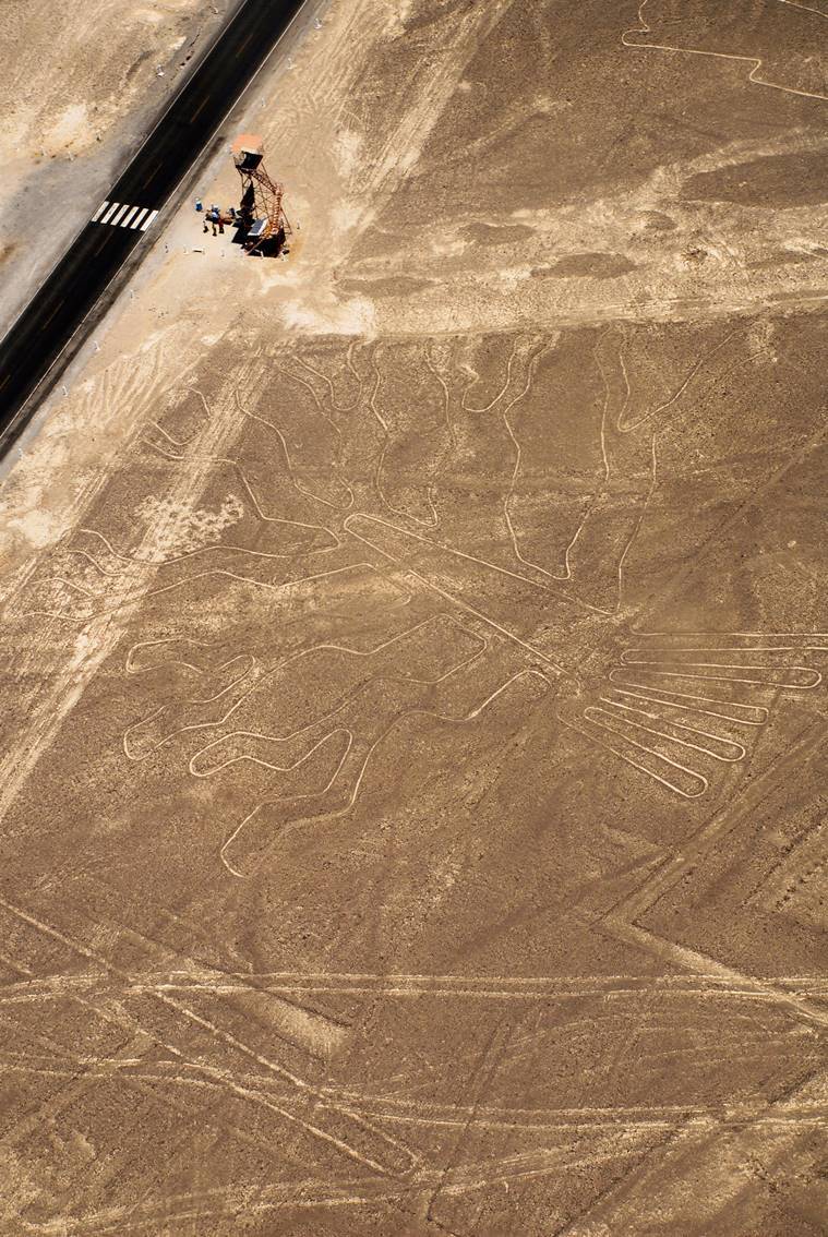 Explained: What is the giant cat drawing at a UNESCO World Heritage ...