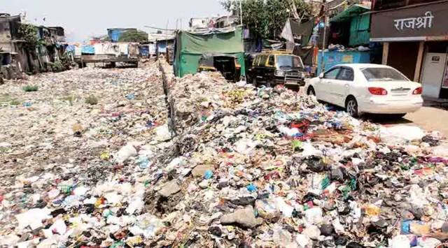 Mohali Civic Body Collects 5 5 Quintals Of Plastic During Garbage Collection Drive All To Be