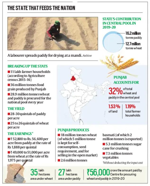 Decoding farm protests in Punjab: Behind stir, the wheat paddy cycle ...
