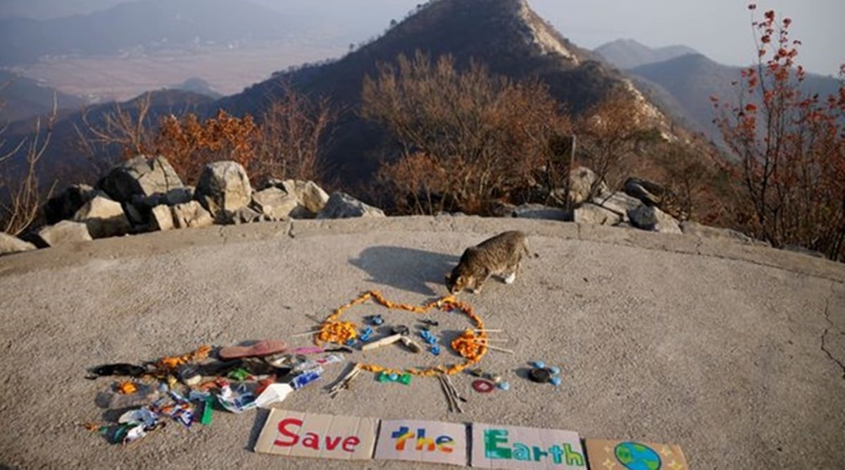 South Korean turns trash from mountain parks into art to get people to ...