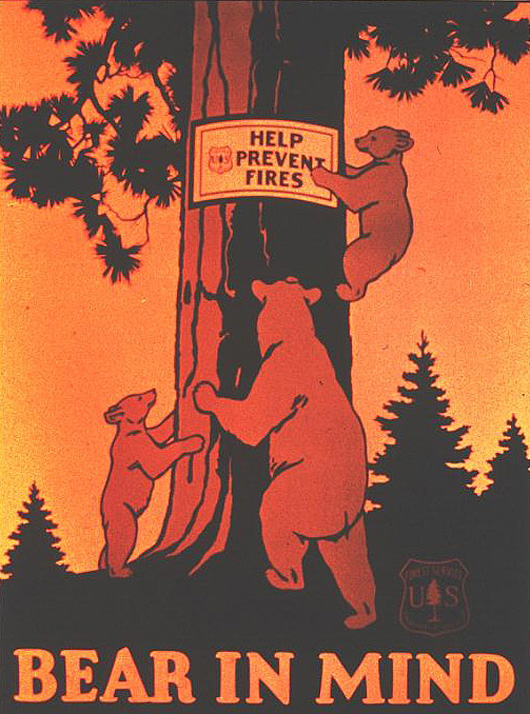 Smokey Bear turns 70 | Business Gallery News - The Indian Express