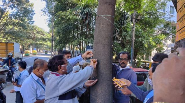 Bengaluru civic body launches drive to rid trees of nails and pins ...