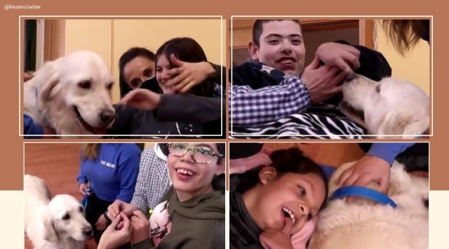 Therapy dog cheers Spanish kids with special needs during Covid-19 ...