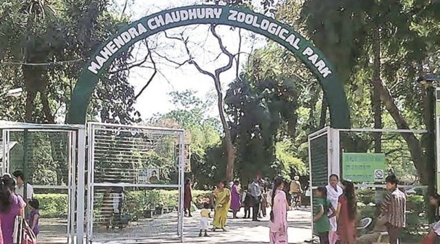 Chhatbir Zoo to reopen from December 10 | India News - The Indian Express